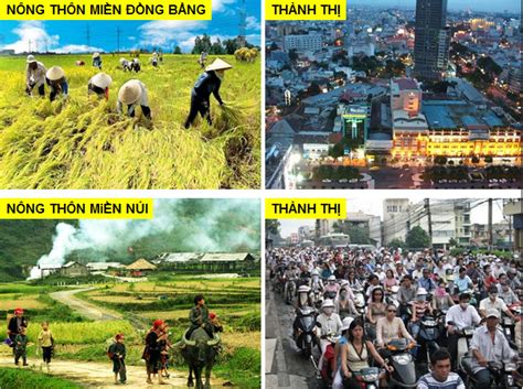 Lý Thuyết Bài 3 Phân Bố Dân Cư Và Các Loại Hình Quần Cư Địa Lý 9