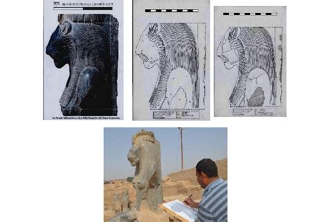 Showing The Initial Sustainable Documentation Process Of Photography