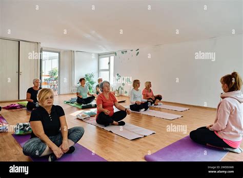 A Group Of Senior Women Engage In Various Yoga Exercises Including