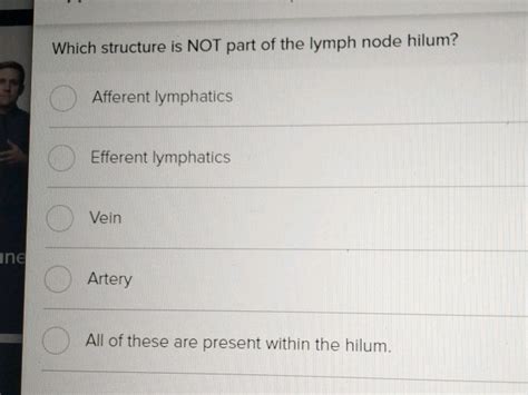 Which Structure Is Not Part Of The Lymph Node Studyx