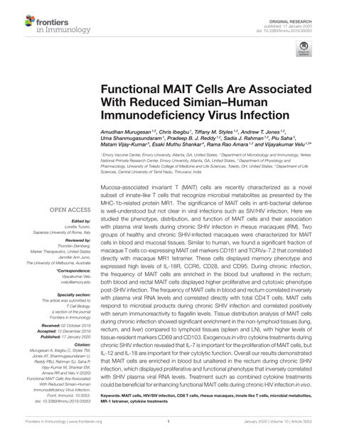 Pdf Functional Mait Cells Are Associated With Reduced Simianhuman