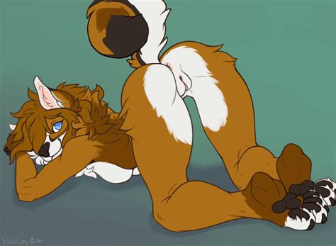 Swift Created By Redcreator Yiff Party