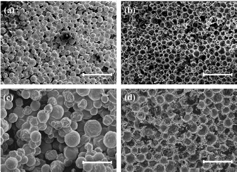 SEM Micrographs Of MM4520 Porous Structures Obtained Via Solvent