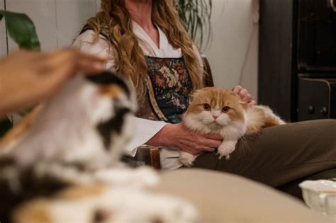 Berita Apa Itu Animal Communicator Terbaru Dan Terkini Hari Ini