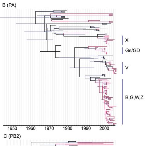 Dated Phylogeny Of The Internal Genes Of Viruses Isolated In Asia The