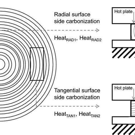 Annual Ring Orientation In Specimens Related To Heating Direction