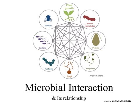 Microbial Interaction And Its Relationship Ppt
