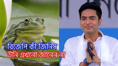 Sukanta Majumder অভিষেক বন্দ্যোপাধ্যায়কে ব্যাঙ বললেন সুকান্ত মজুমদার