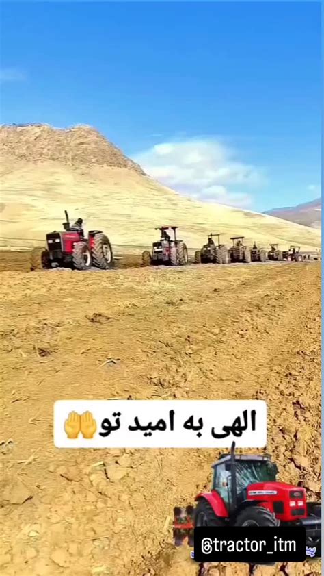 ‎تراکتور سازی تبریز‎ ‎مسابقه ۳۹۹ در شخم با گاو اهن چه سرعتی میره🫣 🚜🚜