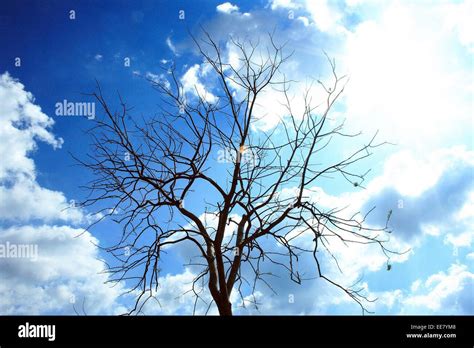 Bangladesh Blue Sky In Dhaka Stock Photo Alamy