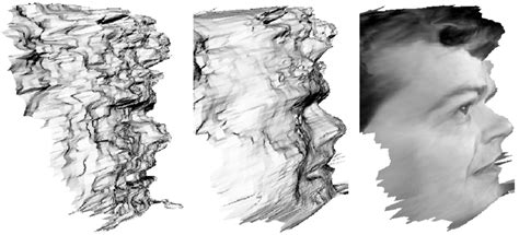 6 La Reconstruction Du Visage De Richard Szeliski Par La Mmthode