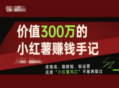 价值300万的小红书赚钱手记变现高链路短轻运营这波小红薯风口不能再错过