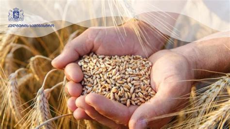 Unesco ს კაცობრიობის არამატერიალური კულტურული მემკვიდრეობის დაცვის წარმომადგენლობით ნუსხაში