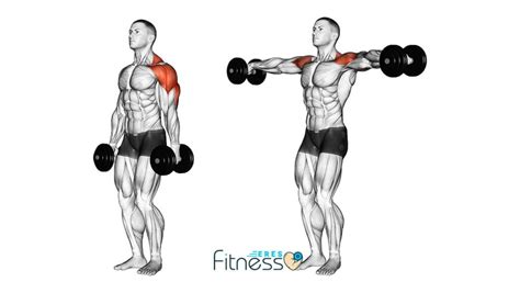 Elevaciones Laterales Con Mancuernas EresFitness