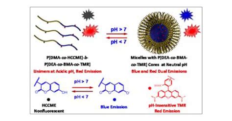 Spatiotemporal Monitoring Endocytic And Cytosolic Ph Gradients With Endosomal Escaping Ph