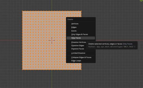 Modeling Selecting Faces To Delete On Grid Deletes Eveything Vertices And Edges Too