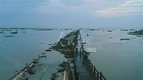 江西永修鄱阳湖水上公路全被淹没 人民图片网