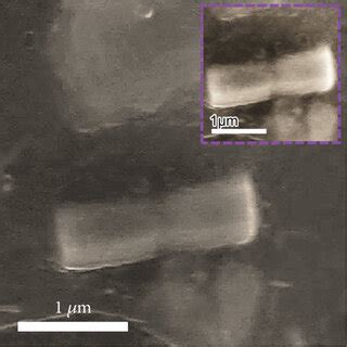 (a) SEM image of the ZP5 composite film, including the SEM image of a ...