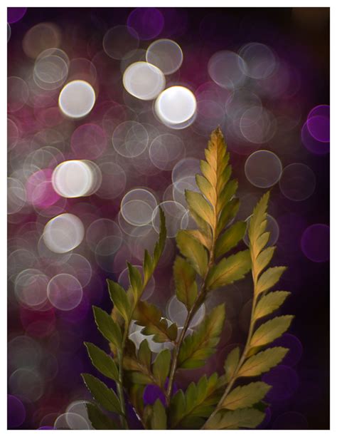 St Flickr