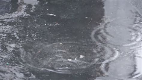 Rain Ripples On Dark Surface 12002864 Stock Video At Vecteezy