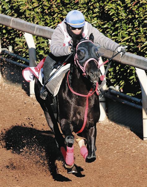 【中日新聞杯】ヤマニンサルバム、鋭い脚さばき 中村師「いつも通り動けていましたね」：中日スポーツ・東京中日スポーツ