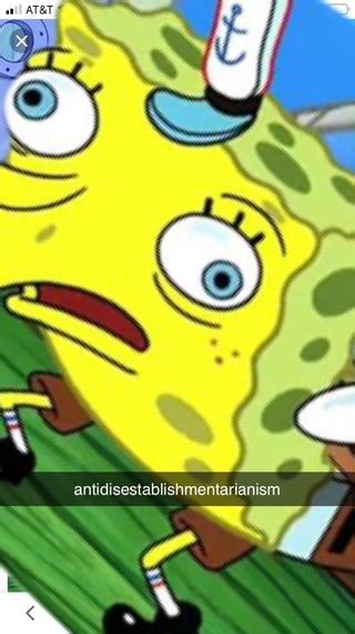 Mock Memes Best Collection Of Funny Mock Pictures On Ifunny