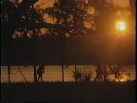 Terminal Bliss 1990 Free Download Borrow And Streaming Internet