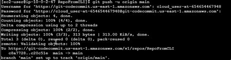 Codecommit Setup Workflow From The Cli Dev Community