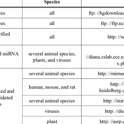 Commonly Used Databases For Mirna Target Prediction Download Table