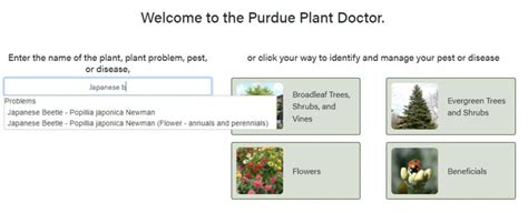 Plant Problems Theres A Mobile Friendly Website For That Purdue