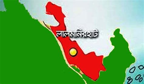 ছোট ভাইয়ের হাতে বড় ভাই খুন