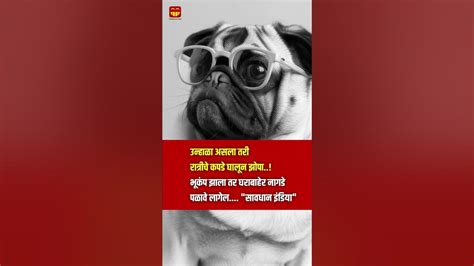 Marathi Chavat Jokes Chavat Jokes Marathi Jokes Chavat Girl Jokes