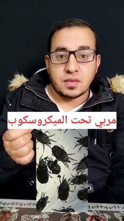 المربي تحت الميكروسكوب مذهلة Youtube