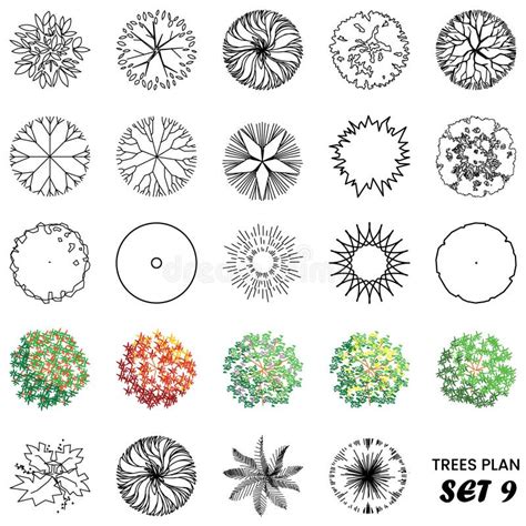 Illustration Of Trees Plan Hand Drawn For Architectural And Landscape Design Set Stock