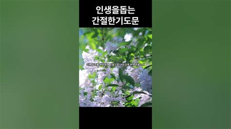 이기도를 시작하면 오늘부터 인생에 능력이나타나요 매일기도 따라하는기도 새벽기도 기도잘하는법 간절한 기도가 되는 기도 하나님께서 응답하시는 기도 분당우리
