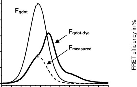 left example of the deconvolution procedure to estimate the fret