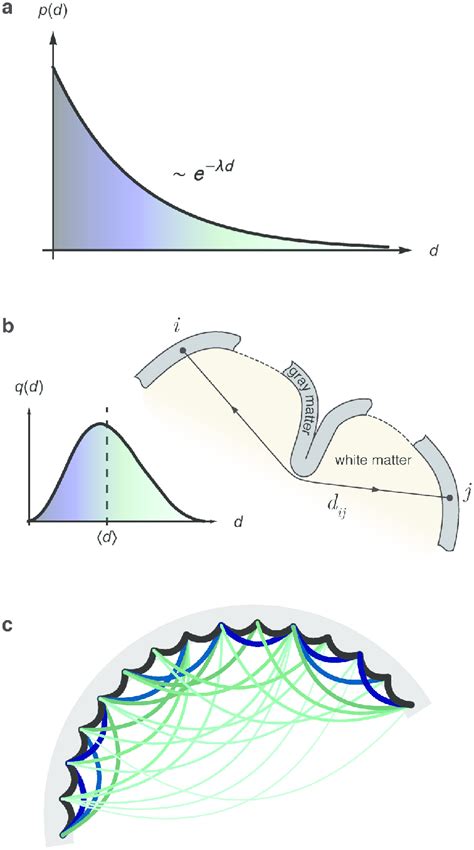 Schematic Of Edr Based Model Of The Cortex A The Exponential
