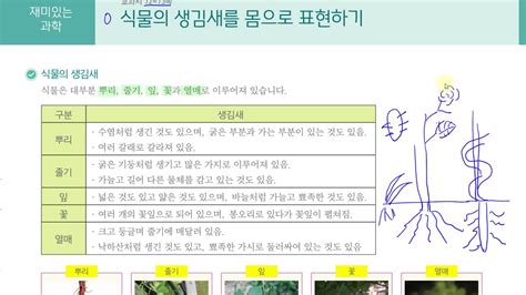 초등과학 6 1 무료강의 4 식물의 구조와 기능 0차시 식물의 생김새를 몸으로 표현하기 Youtube