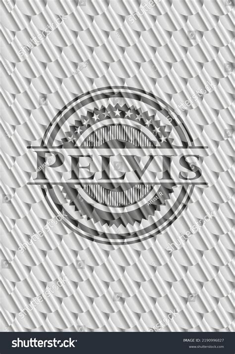 Pelvis Silver Shiny Badge Scales Pattern Stock Vector Royalty Free