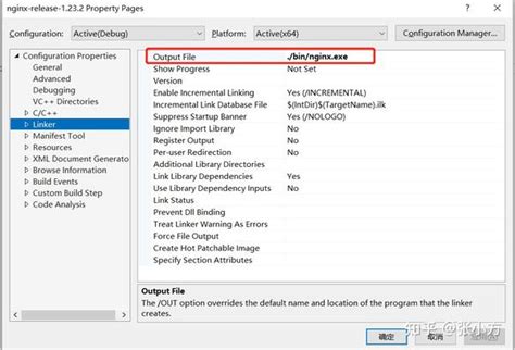 Visual Studio Windows Nginx