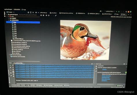 python爬虫系列 爬取百度贴吧图片 贴吧图片爬取 csdn博客
