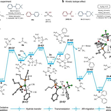 Nickel Catalyzed Deformylative Suzuki Miyaura Cross Coupling And