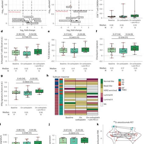 Tumor Immune Evolution In Paired Primary Tumors Local Recurrences And