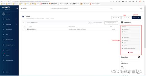 分布式文件存储系统minio Csdn博客