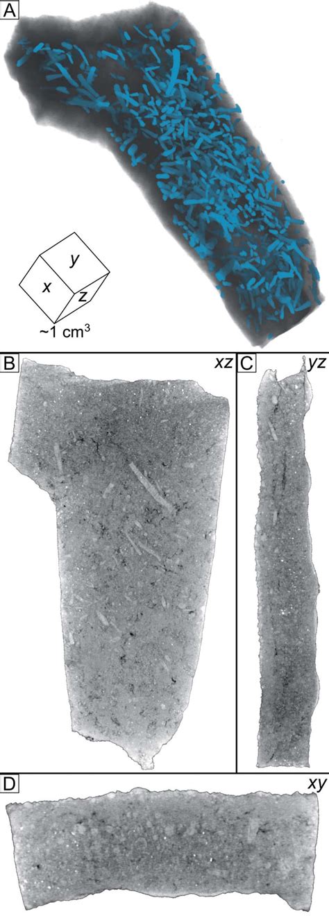 DESCRIBING DIFFICULT SHELL HASH ASSEMBLAGES FROM THE LOWER CAMBRIAN