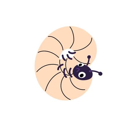 Larva Vector Images Over 5 200