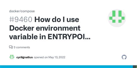 How Do I Use Docker Environment Variable In Entrypoint Array Issue