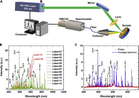 Spectral Acquisition System And Preprocessing Of Libs A Schematic