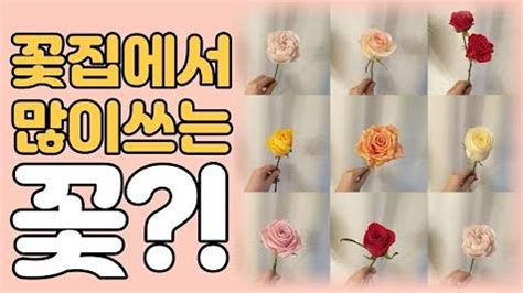 꽃집 플로리스트가 많이 쓰는 꽃 뭐가 있을까요 같이 알아봐요 꽃집창업 궁금증 네이버 Tv