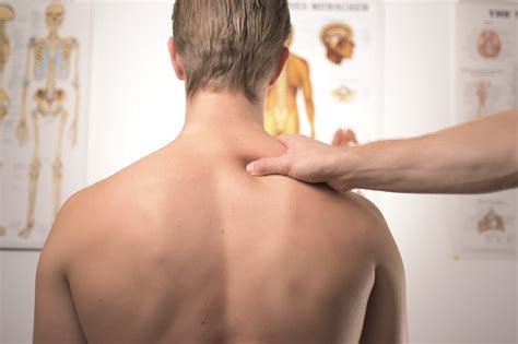Cbd For Muscle Recovery All You Need To Know About Muscle Week